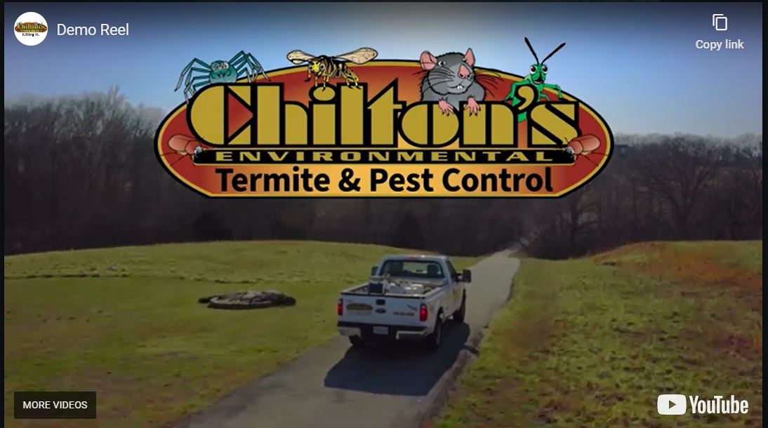 Pest Control Springfield Mo | Chilton's Environmental | Pest Services ...